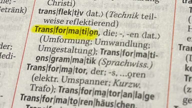 Wenn wir die Welt retten wollen, brauchen wir einen besseren Begriff ...